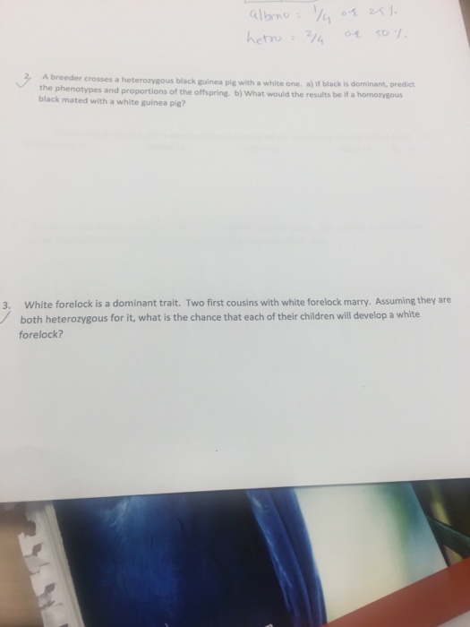 Solved White forelock is a dominant trait. Two first | Chegg.com