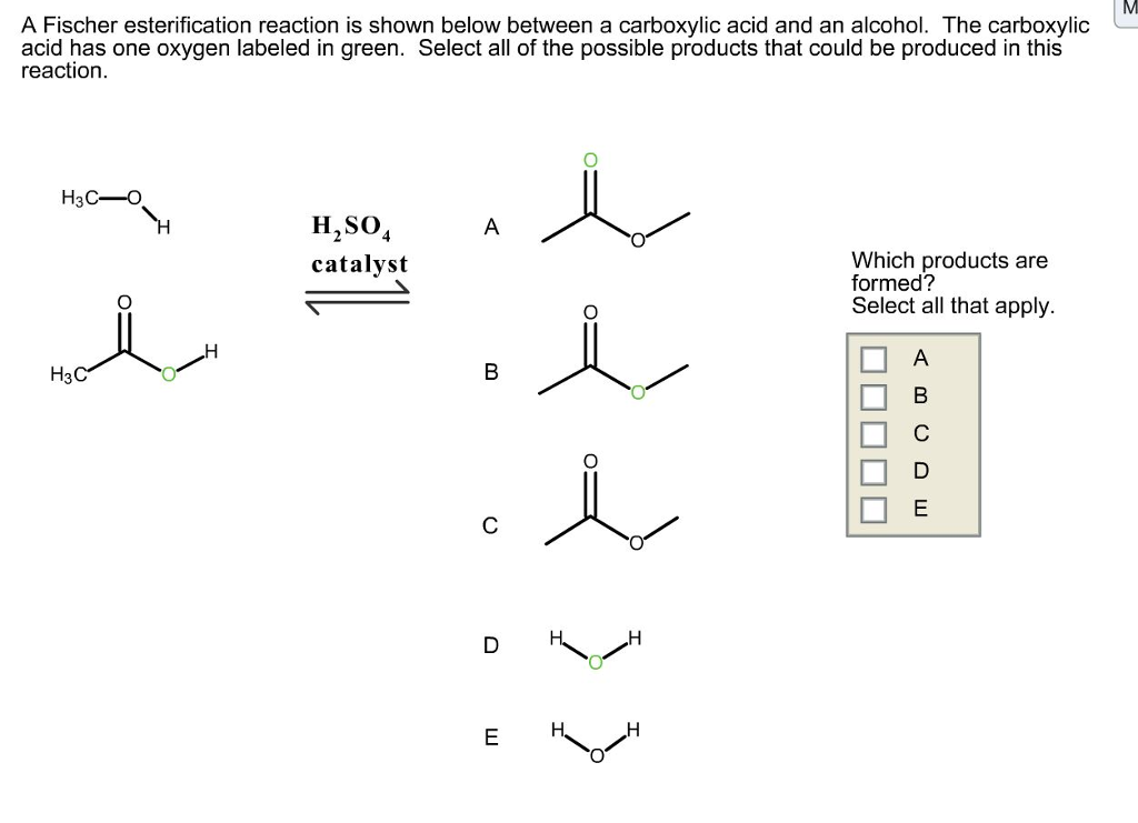 Solved 7) A Fischer esterification reaction is shown below | Chegg.com
