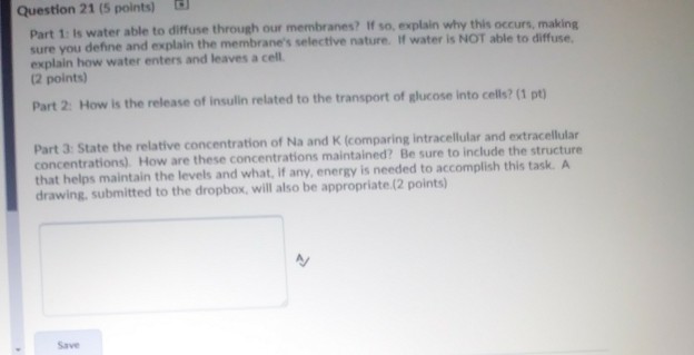 Solved Question 21 (5 points) Part 1: Is water able to | Chegg.com