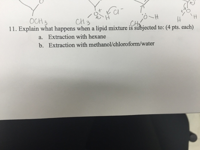Solved Explain what happens when a lipid mixture is | Chegg.com