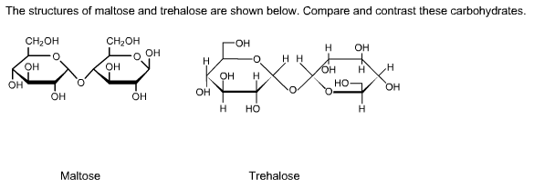 Solved The structures of maltose and trehalose are shown | Chegg.com Solved The structures of maltose and trehalose are shown | Chegg.com