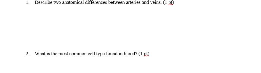 Solved Describe two anatomical differences between arteries | Chegg.com