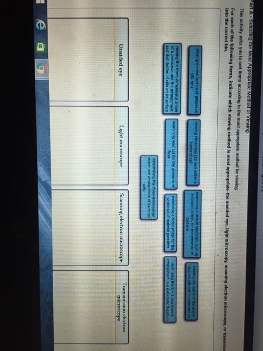 Solved This activity asks you to sort items according to the | Chegg.com
