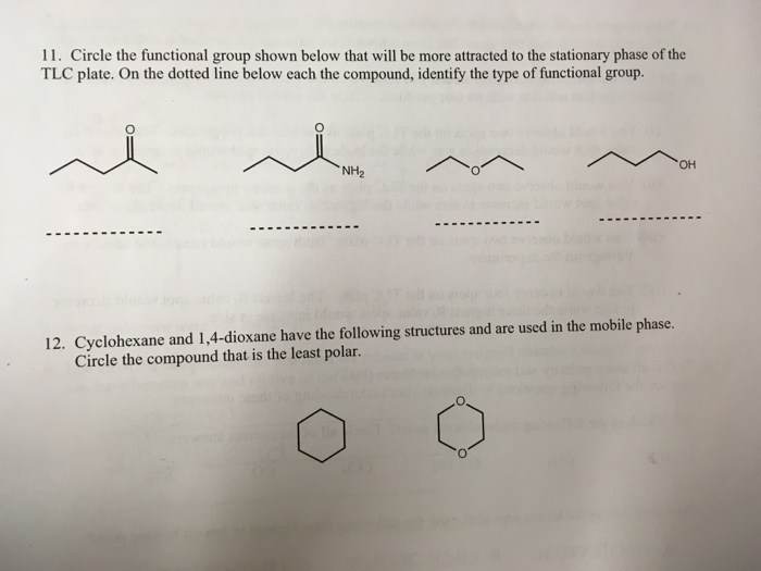 Solved Circle the functional group shown below that will be | Chegg.com