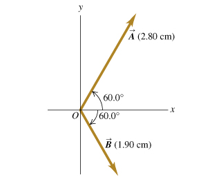 Solved Vector A is 2.80cm long and is 60 degrees above the | Chegg.com