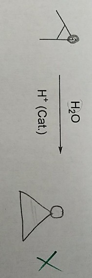 Solved H2O H (Cat.) | Chegg.com