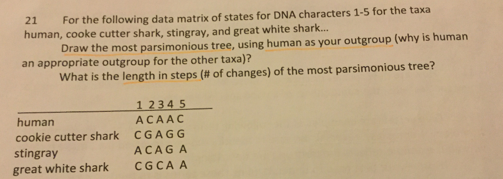 Solved 21 For the following data matrix of states for DNA | Chegg.com