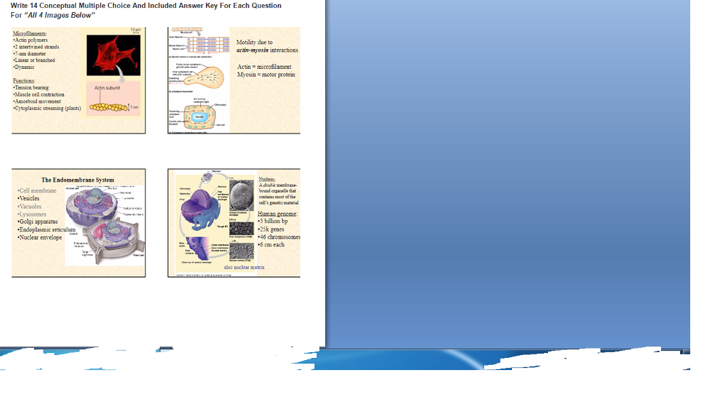 Solved Note: Write 14 Conceptual Multiple Choice And | Chegg.com