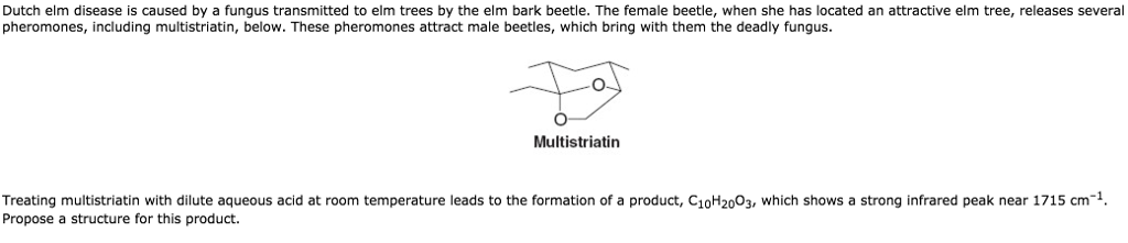 Solved Dutch elm disease is caused by a fungus transmitted | Chegg.com