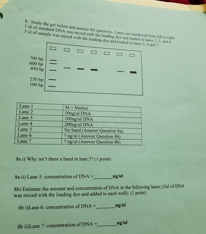 Solved 8. Study the I ul of standard DNA was mixed with the | Chegg.com