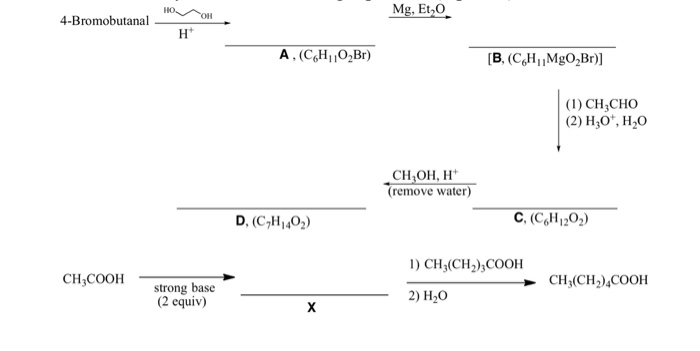 Solved 4-Bromobutanal H CH COOH strong base (2 equiv) A, | Chegg.com