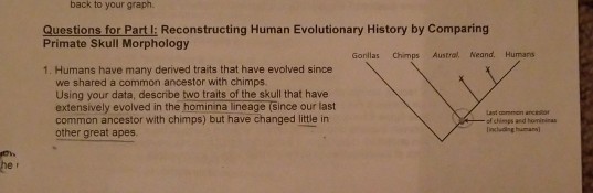 Solved back to your graph. Questions for Part I: | Chegg.com