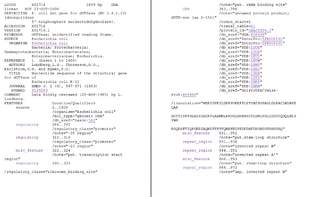 A. Now translate the first six codons of this | Chegg.com