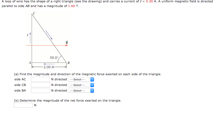 Solved A loop of wire has the shape of a right triangle and | Chegg.com
