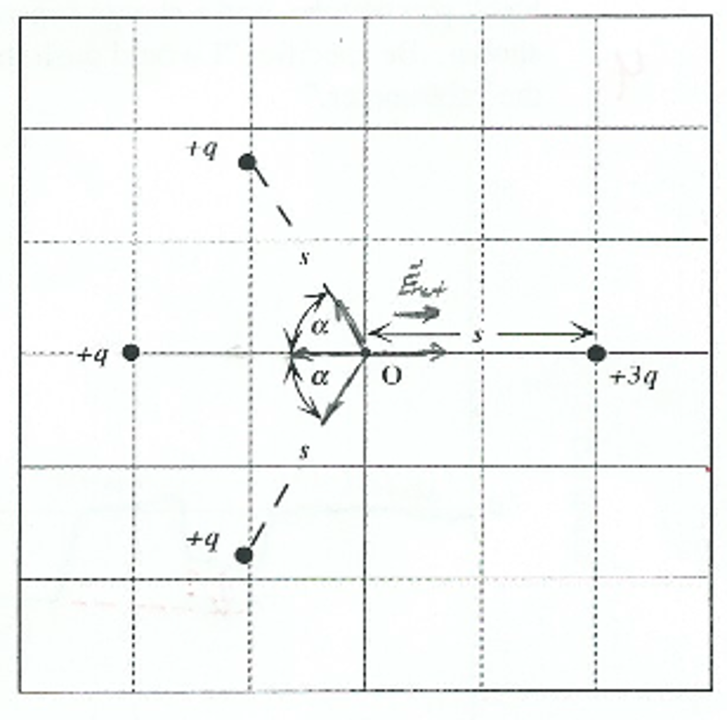 Solved 1a. On the diagram, indicate the direction of the net | Chegg.com