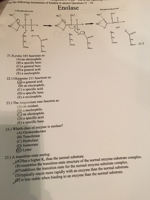 Solved Use the following mechanism of Enolase to answer | Chegg.com