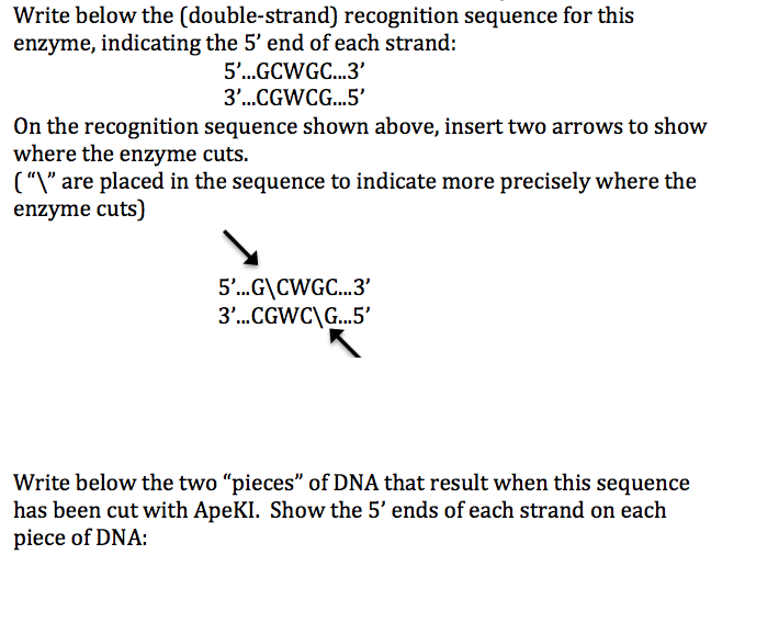 Solved Write below the (double-strand) recognition sequence | Chegg.com