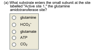 Solved Carbamoyl phosphate synthetase (CPS) synthesizes | Chegg.com