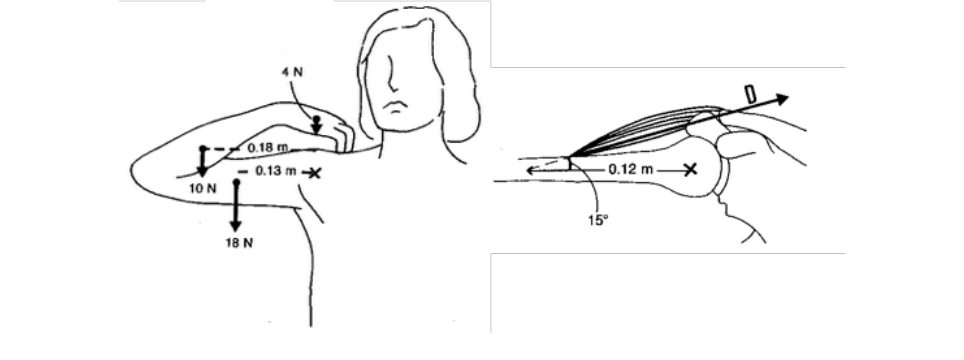 Solved The patient abducted the shoulder 90° with the elbow | Chegg.com