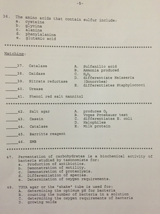 Solved 24. If you had been growing a mixture of bacteria on | Chegg.com