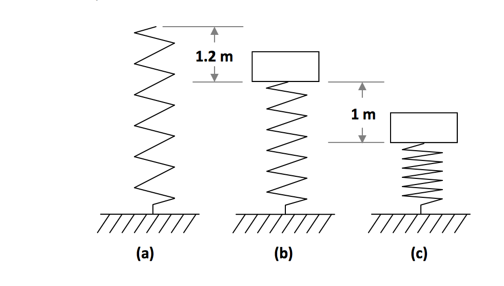 Solved Figures (a), (b), and (c ) show the same spring in | Chegg.com