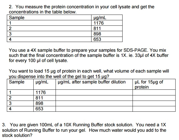 Solved 2. You measure the protein concentration in your cell | Chegg.com