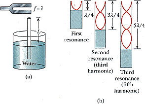 Solved A tuning fork of frequency 524 Hz is placed near the | Chegg.com