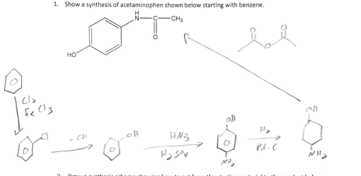 Solved 1. Show a synthesis of acetaminophen shown below | Chegg.com
