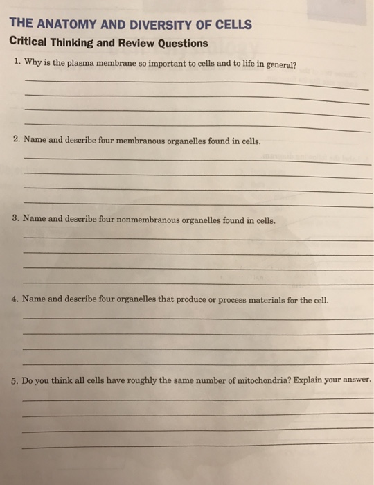 Solved THE ANATOMY AND DIVERSITY oF CELLS Critical Thinking | Chegg.com