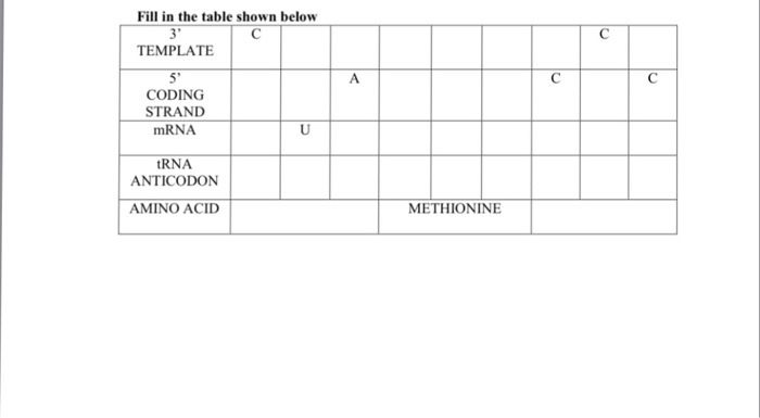Solved Fill in the table shown below | Chegg.com