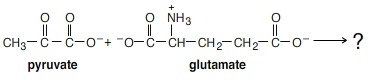 Solved Draw the amino acid product that results from a | Chegg.com