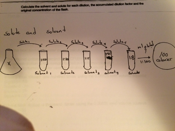 Solved Calculate the solvent and solute for each dilution, | Chegg.com