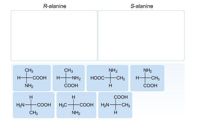 Solved The amino acid alanine is shown below in several | Chegg.com