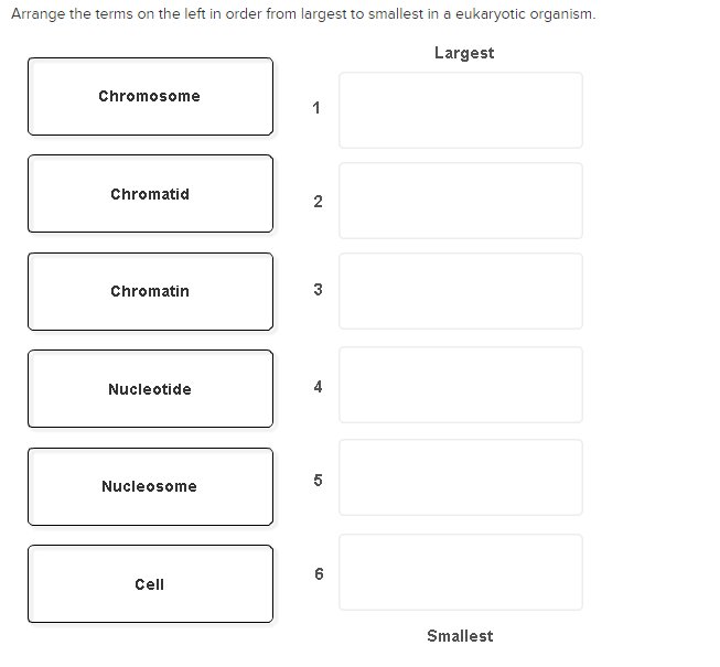 Solved Arrange the terms on the left in order from largest | Chegg.com Solved Arrange the terms on the left in order from largest | Chegg.com