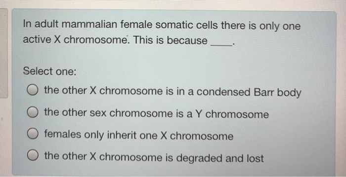 Solved In adult mammalian female somatic cells there is only | Chegg.com
