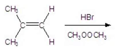 Solved 1. Predict the major monobromination product in the | Chegg.com