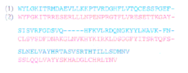Solved Using the identity-based scoring system, calculate | Chegg.com