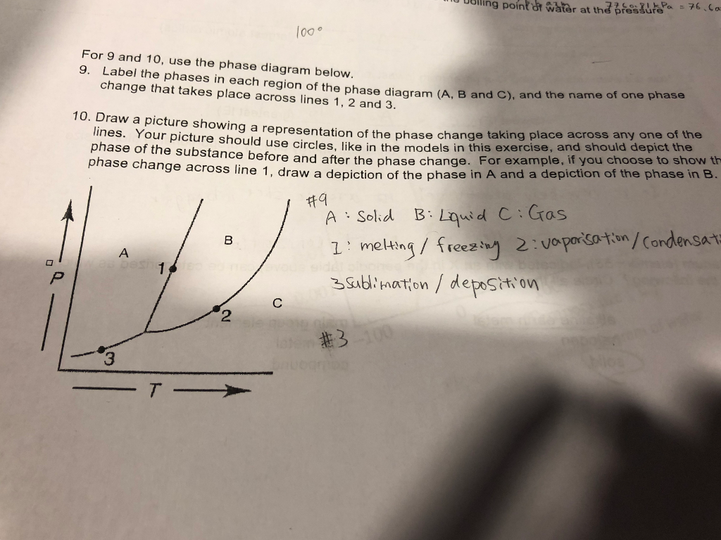 Assign The Appropriate Labels To The Phase Diagram Below How