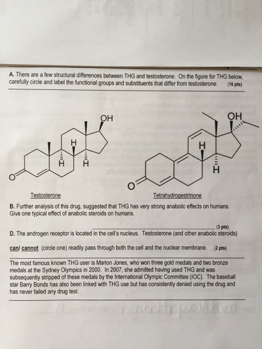 Solved There are a few structural differences between THG | Chegg.com