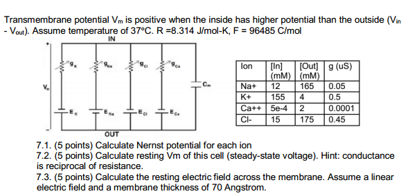 Transmembrane potential Vm is positive when the | Chegg.com