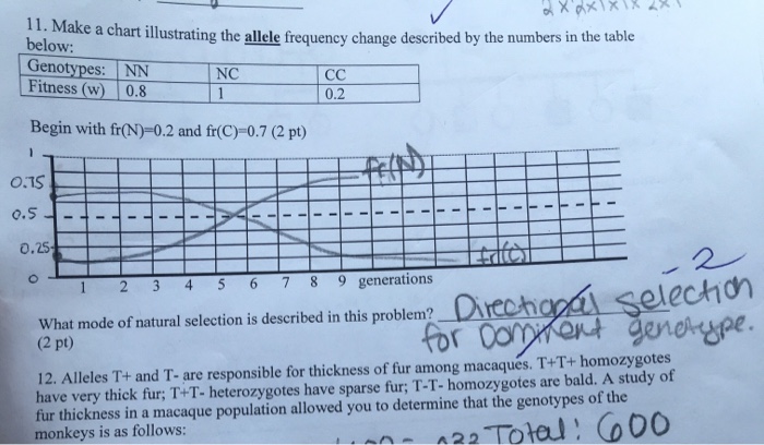 Solved Make a chart illustrating the allele frequency change | Chegg.com