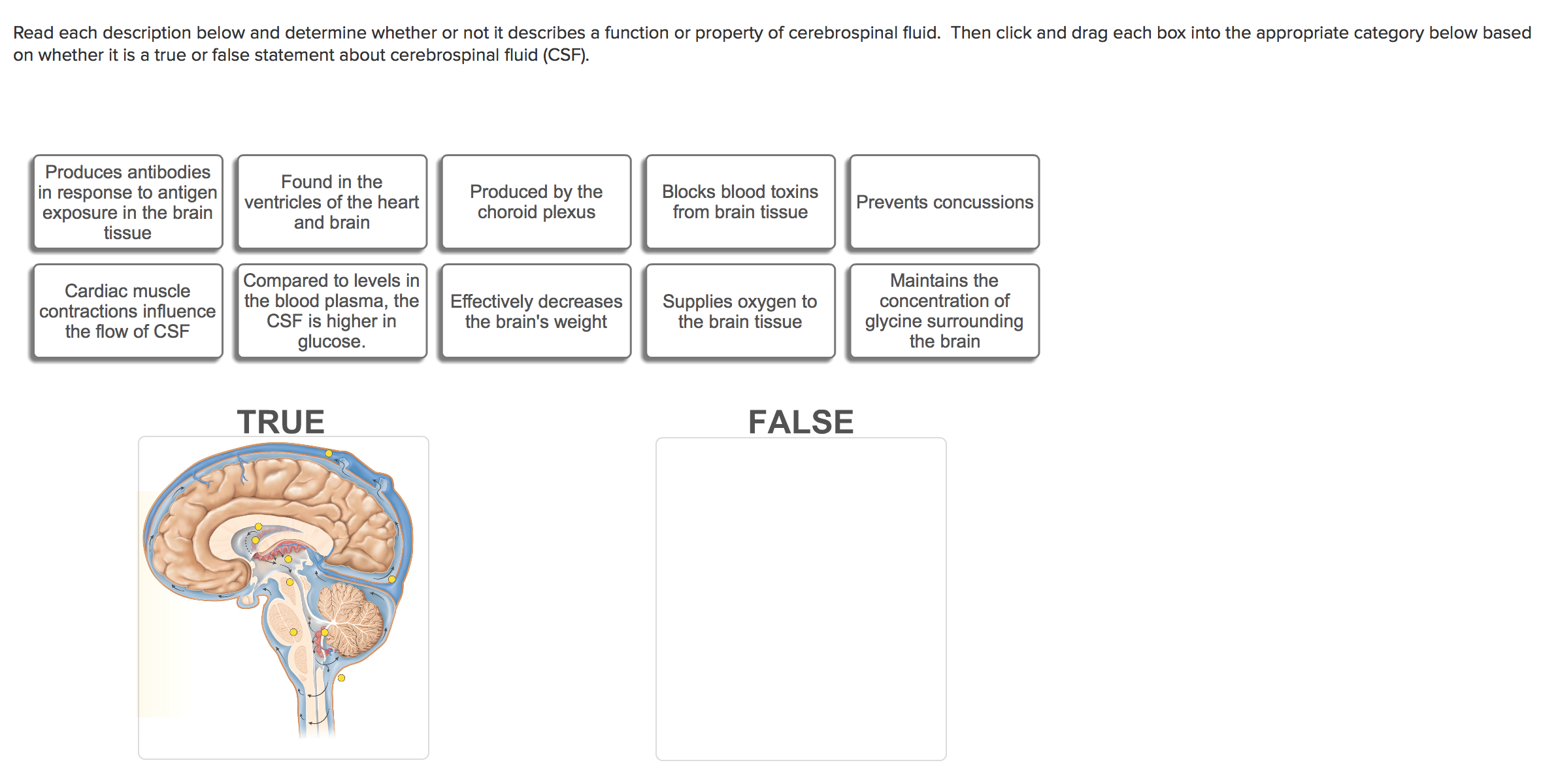 Solved Read each description below and determine whether or | Chegg.com