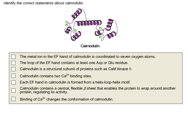 Solved Identify the correct statements about calmodulin. | Chegg.com