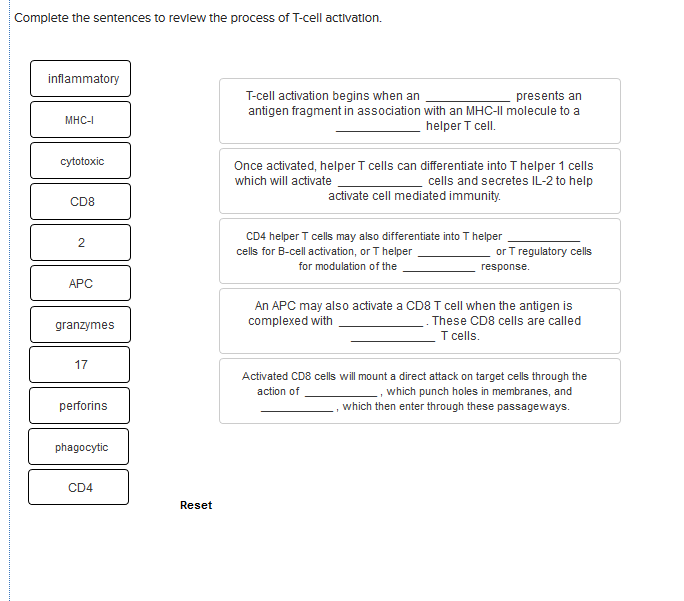 Solved Evaluate the statements below, and select those that | Chegg.com