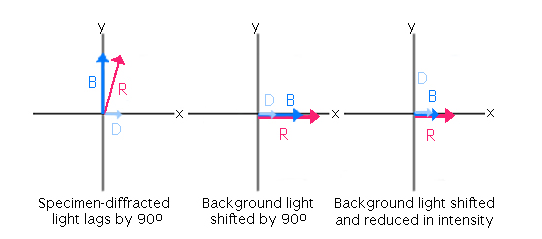 Solved The figure above displays phasors for background | Chegg.com