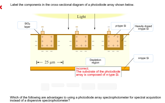 Photodiode Array Schematic
