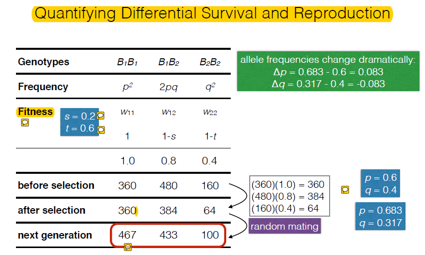 Solved Quantifying Differential Survival and Reproduction | Chegg.com