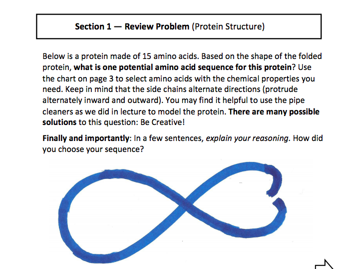 Solved Section 1Review Problem (Protein Structure) Below is | Chegg.com