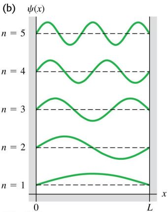 Solved The first five wave functions for a particle in a box | Chegg.com