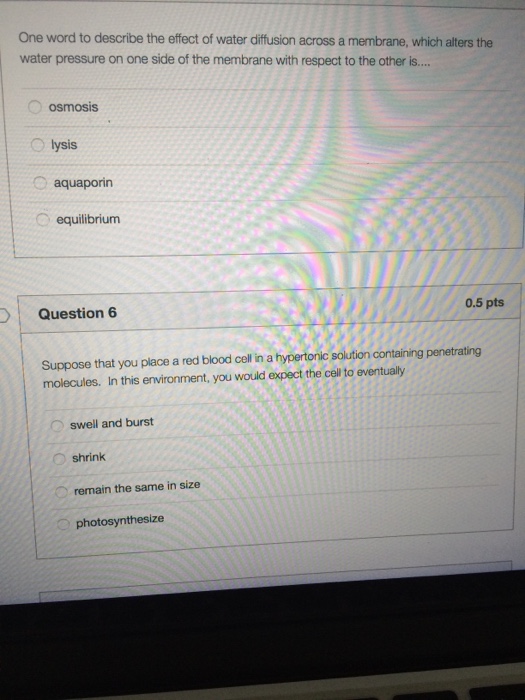 Solved One word to describe the effect of water diffuse | Chegg.com